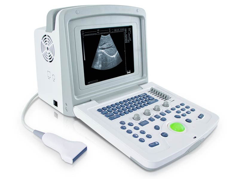 Samsung Modello ABC – Accademia Ecografia Toracica